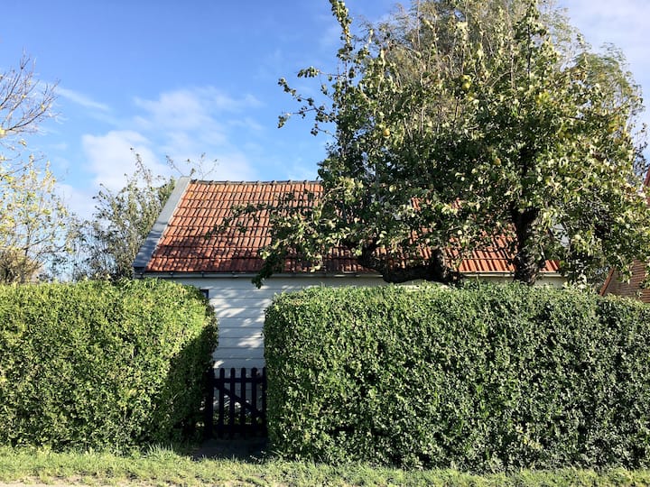 Gemütliches Deichhaus Mit Charme - Cadzand