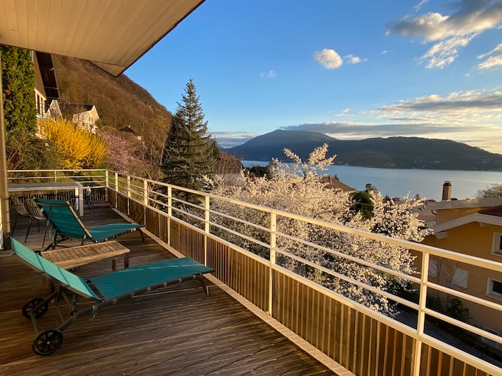 Villa Moderne à Annecy Le Vieux - Annecy