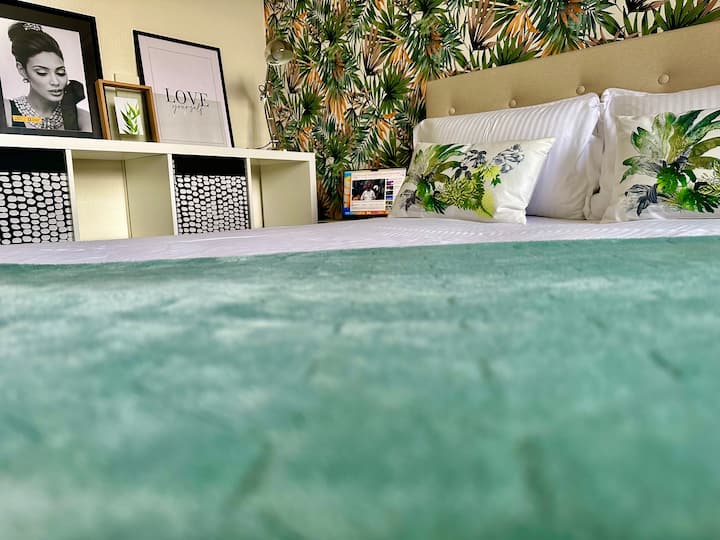 Grand Appartement Bron Centre - Bron