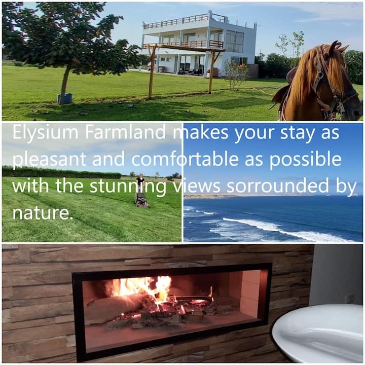 Elysium Farmland, Campo-playa, Paracas-chincha - San Clemente