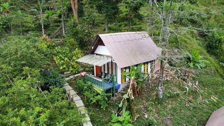 Ecohospedaje Rural Las Violetas. - Tulua