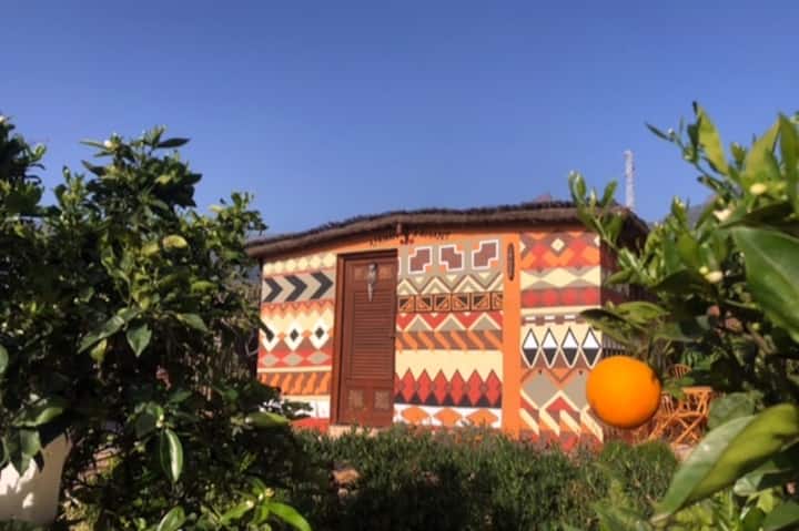 Afrikan Krisant Tenerife, Casa Rural Ecologica - Candelaria