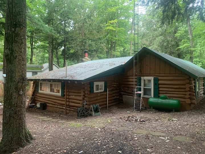Rustic Cabin For Nature Lovers. - Frankfort, MI