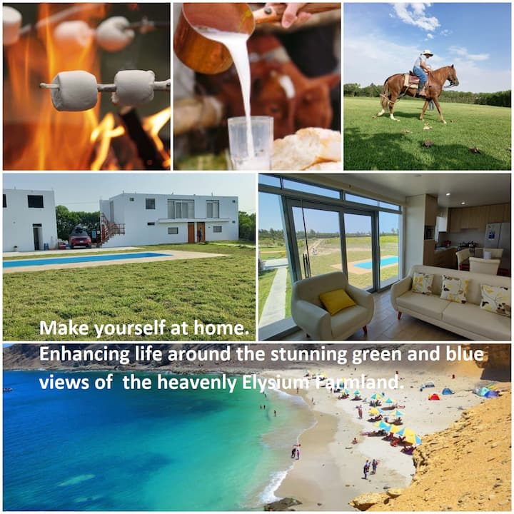 Campo Y Playa, Chincha-paracas - San Clemente