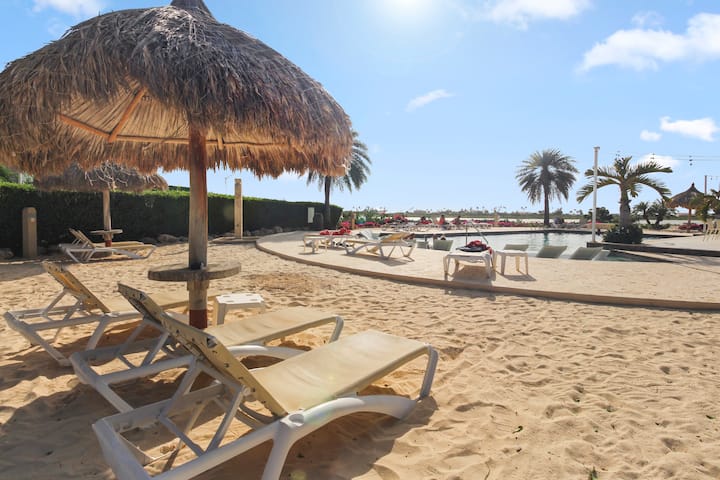 Lux 2br Condo | Gold Coast Pools & Gym Near Malmok - Aruba