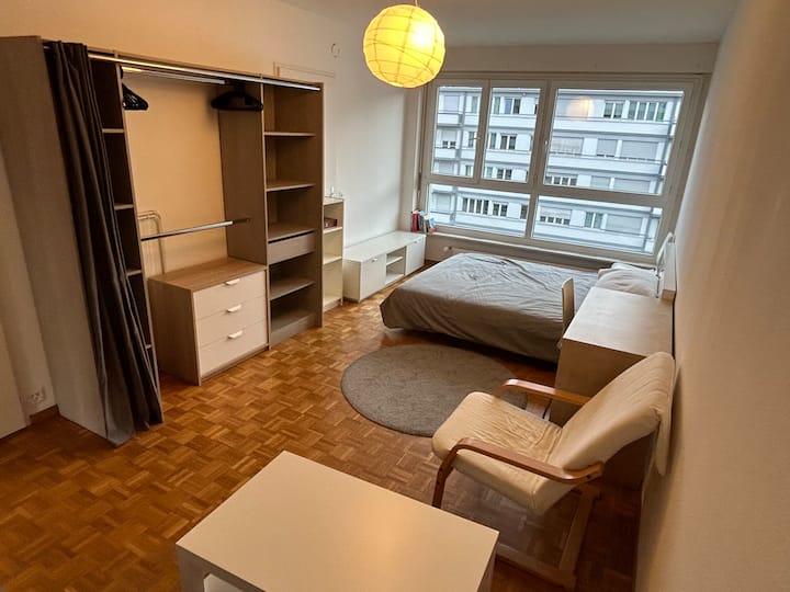 Nice Spacious Room Gva Center - Geneva