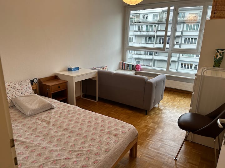 Nice Room Centrally Located - Geneva