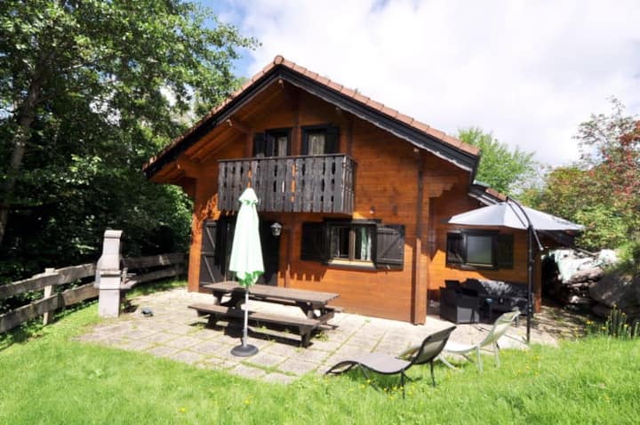 Chalet Entre Ville Et Sentiers - Gérardmer