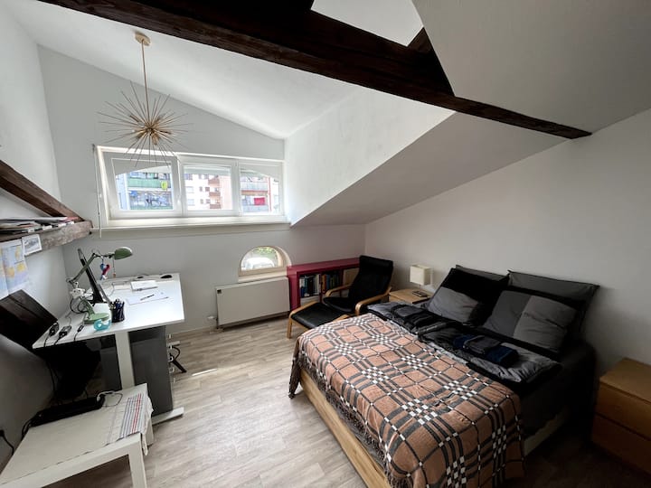 Quite Room Near Swiss Border In Saint-louis - Basel