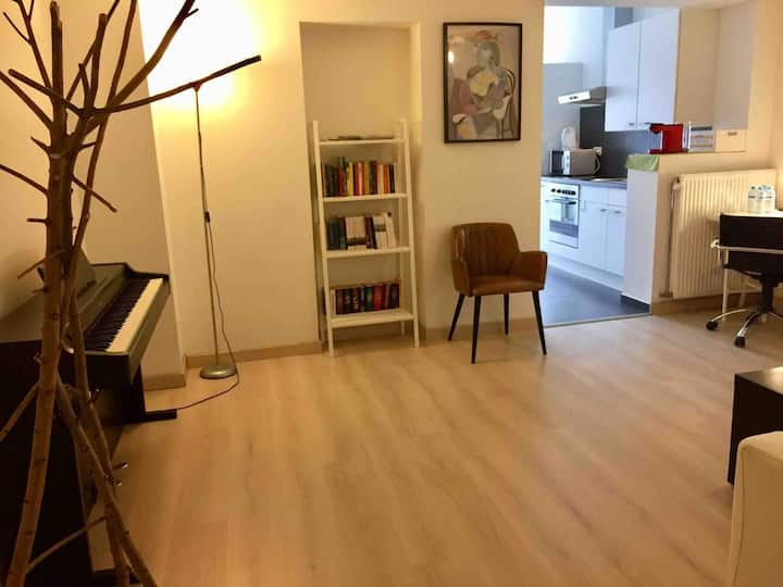 Very Quiet Flat In Centre Leuven - Leuven