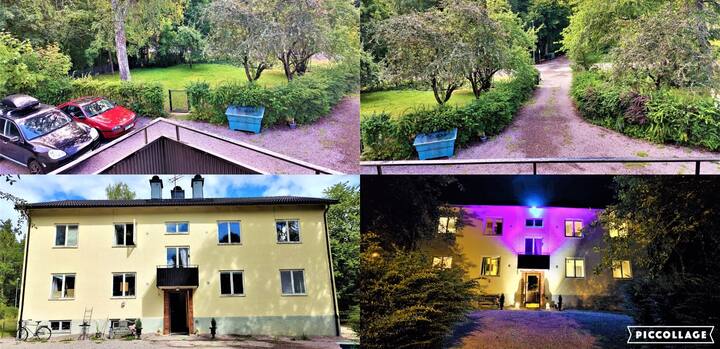 Sommarnatt I Dalhem - Gamleby
