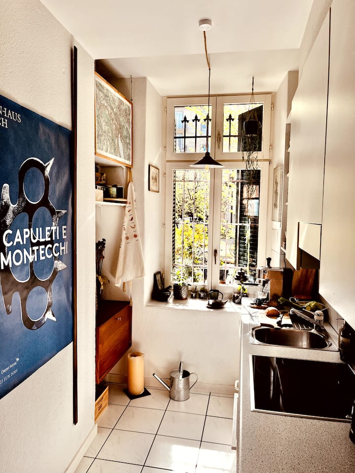 Studio Apt In Kreis 5 Zürich - Zürich