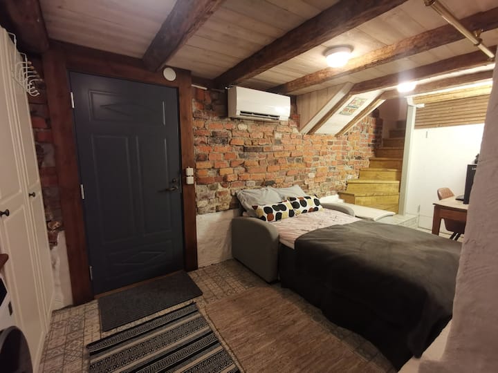 Tyylikäs Kellarihuone Suihkulla - Tampere