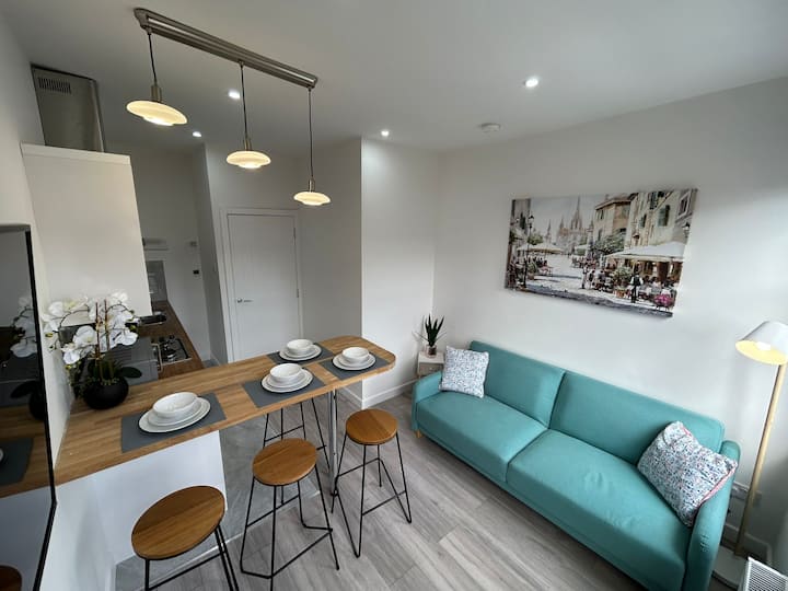 Modern New 1 Bedroom Flat Oval/kennington Flat No4 - London