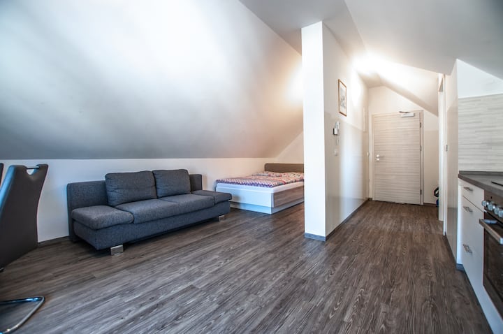 Apartments Francka - #7 - Bohinjska Bistrica