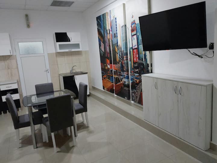 Apartman Aleksić U Samom Centru - Knjazevac