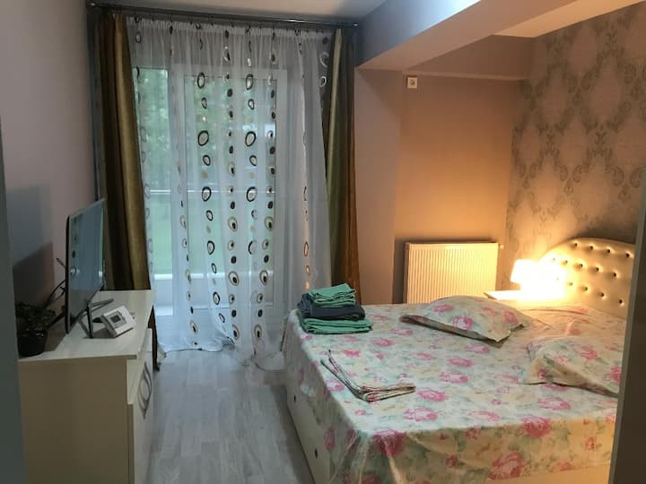 Luxury Radox Airport Bucharest 2 - Bucharest Henri Coandă Airport (OTP)