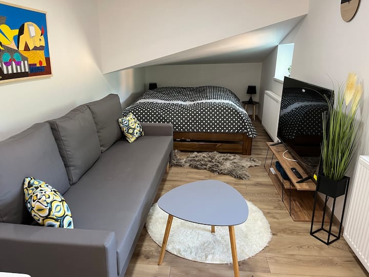 Studio, Split Level 40m2 - Bad Schandau