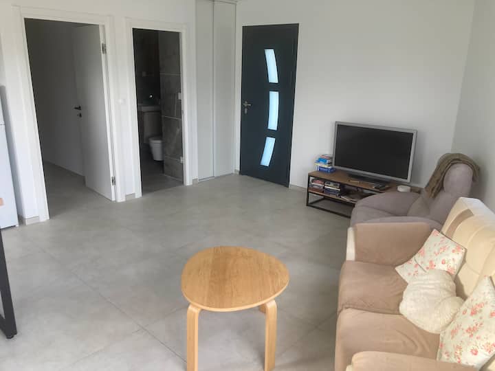 Maison Individuelle - Saint-Genis-Pouilly