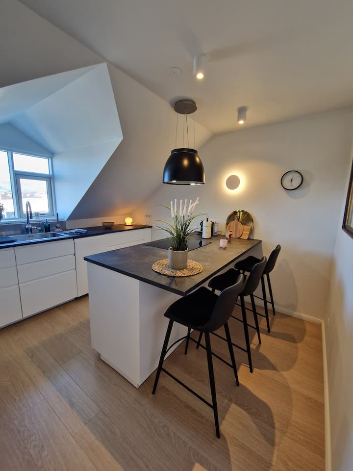 Loft Apartment In Reykjavik - Reykjavik