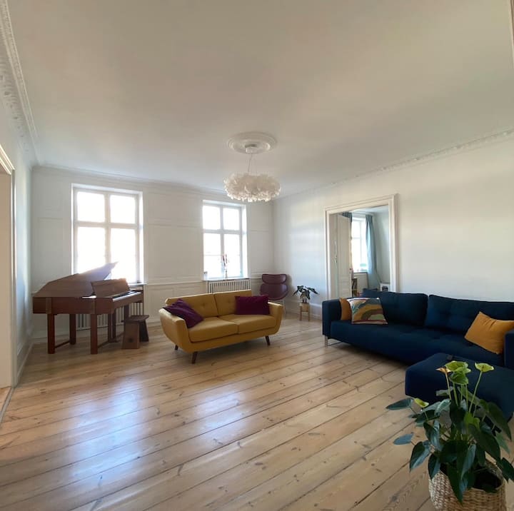 Apartamento Amplio En El Centro - Copenhaguen