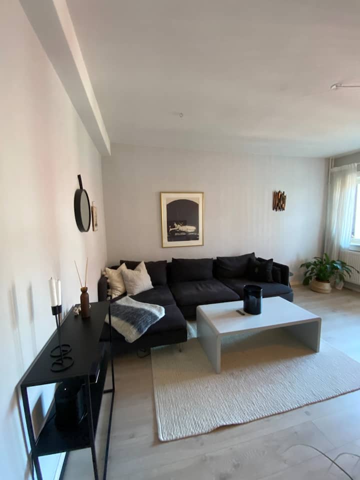 Central And Comfortable Apartment In Oslo! - Oslo