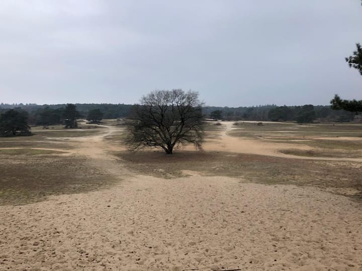 Luxe Cube Veluwe | 4persoons - Arnhem