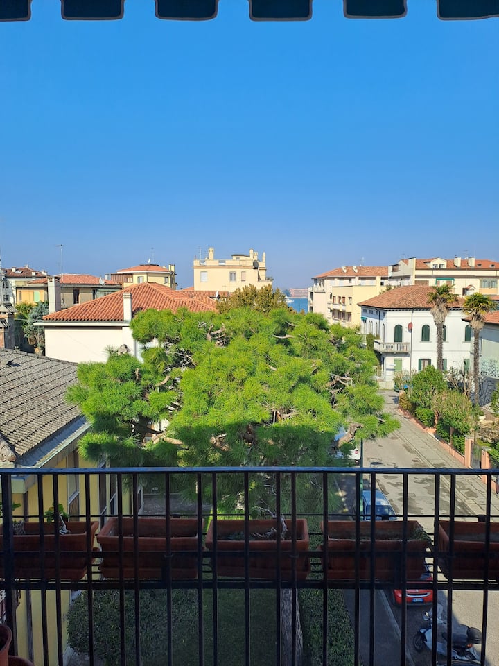 Incantevole Appartamento Con Terrazza - Venice