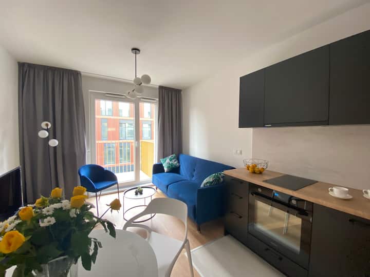 Apartament Milionowa 6 Centrum Garaż - Łódź