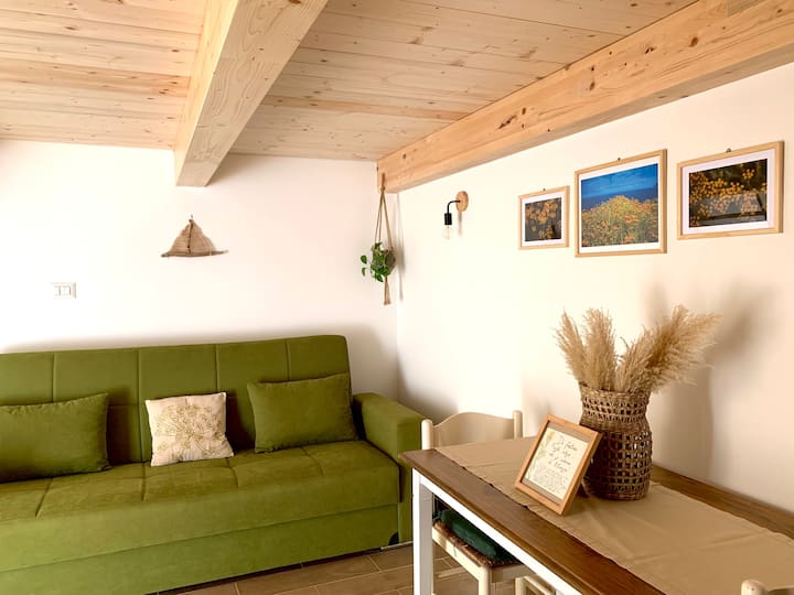 Elicriso Home - Porto Torres
