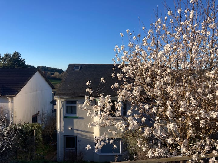 Totnes 4 Bed Family Home - Totnes