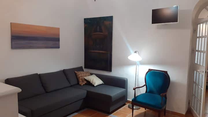 Estudio (Sin Cocina) En Alameda - Seville