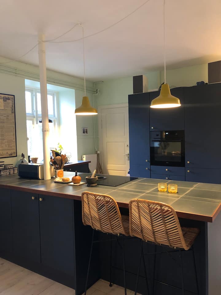 Cozy, Stylish And Classy! - Copenhague