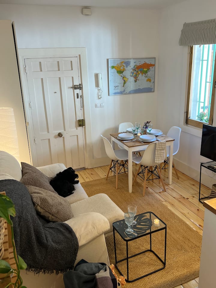 Cozy Flat Near Madrid Downtown - Madrid