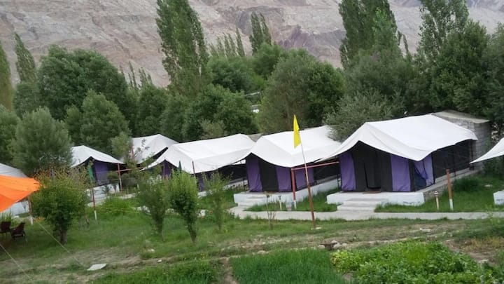 Valley Flower Camp - Nubra Valley