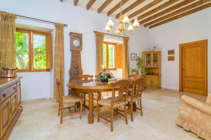 Agroturismo Finca Son Amora - Palma