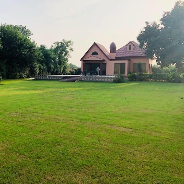 Tobacco Farm - Lahore
