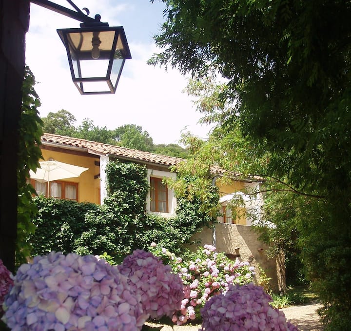 Charmant 2-persoons Appartement - Saint-Pons-de-Thomières