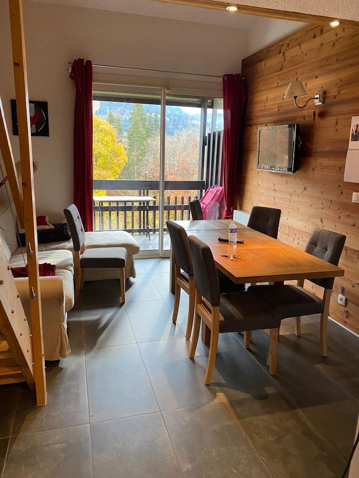 Carroz 74 - Duplex Chaleureux Refait à Neuf - Flaine