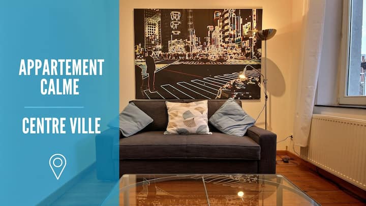 Appartement Calme Et Fonctionnel - Seraing