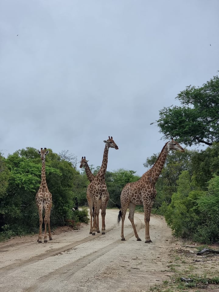 Ukanyi Lodge - Hartbeespoort