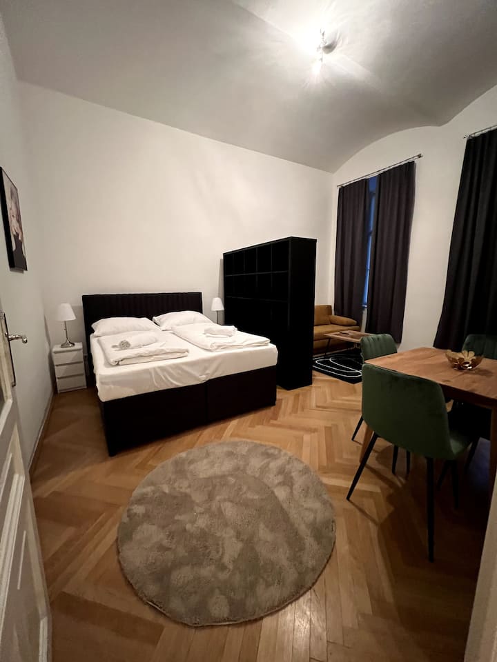 City Studio:ground-floor Apartment Near Parliament - Viena
