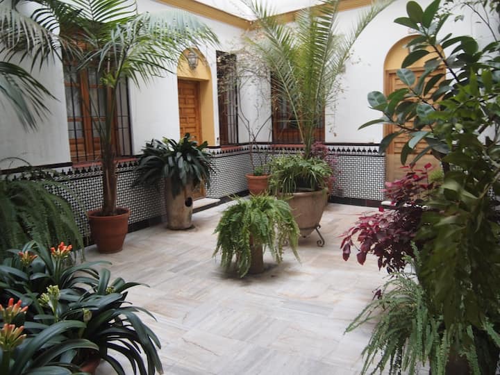 Tradicional Piso Cordobés - Córdoba
