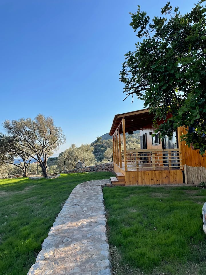 Ovabükü Manzaralı 1+1 Tiny House - Palamutbükü Plajı