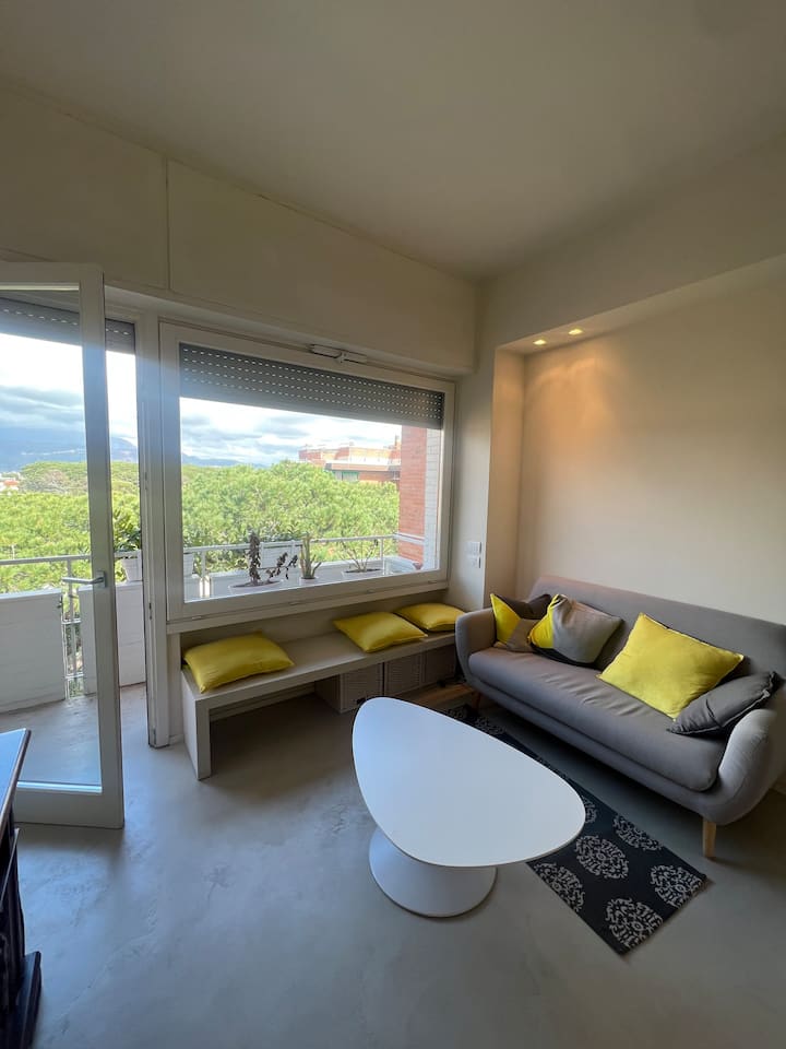 Appartamento A 100 Mt Dal Mare - Viareggio