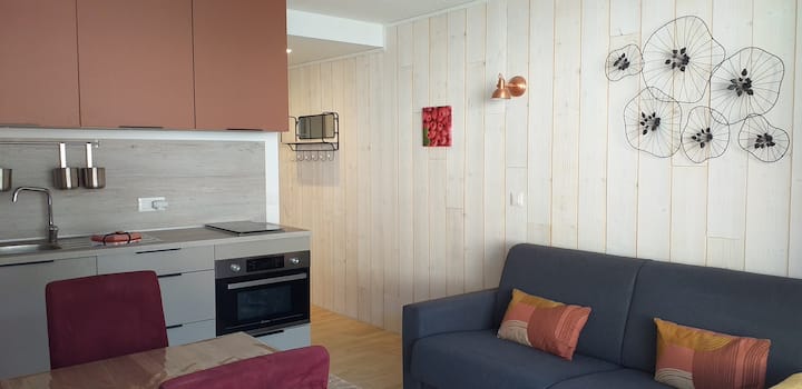Appartement Douillet Et Lumineux 3 éToiles - Allevard