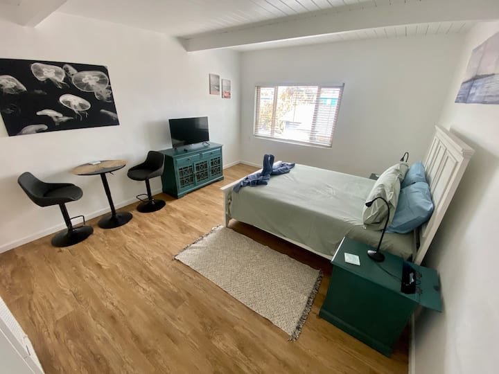 Lovely Ob Studio Only 1 Block To The Beach!  (Lb6) - San Diego, CA