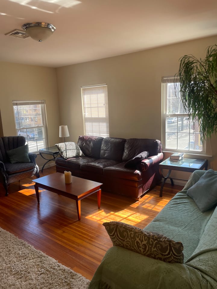 Spacious East Rock Gem - New Haven, CT