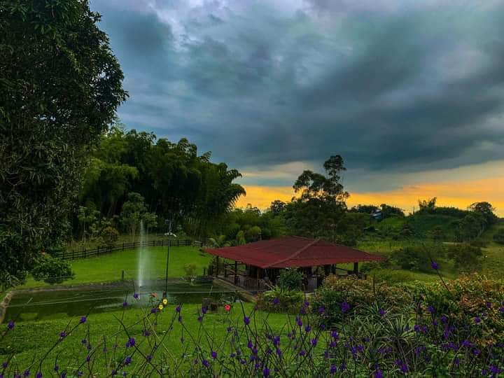 Finca Paloquemao - Filandia