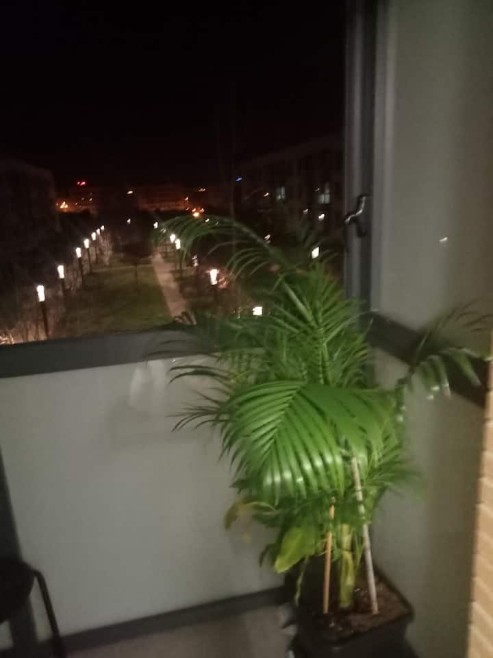 Apartamento Céntrico. - Pampelune